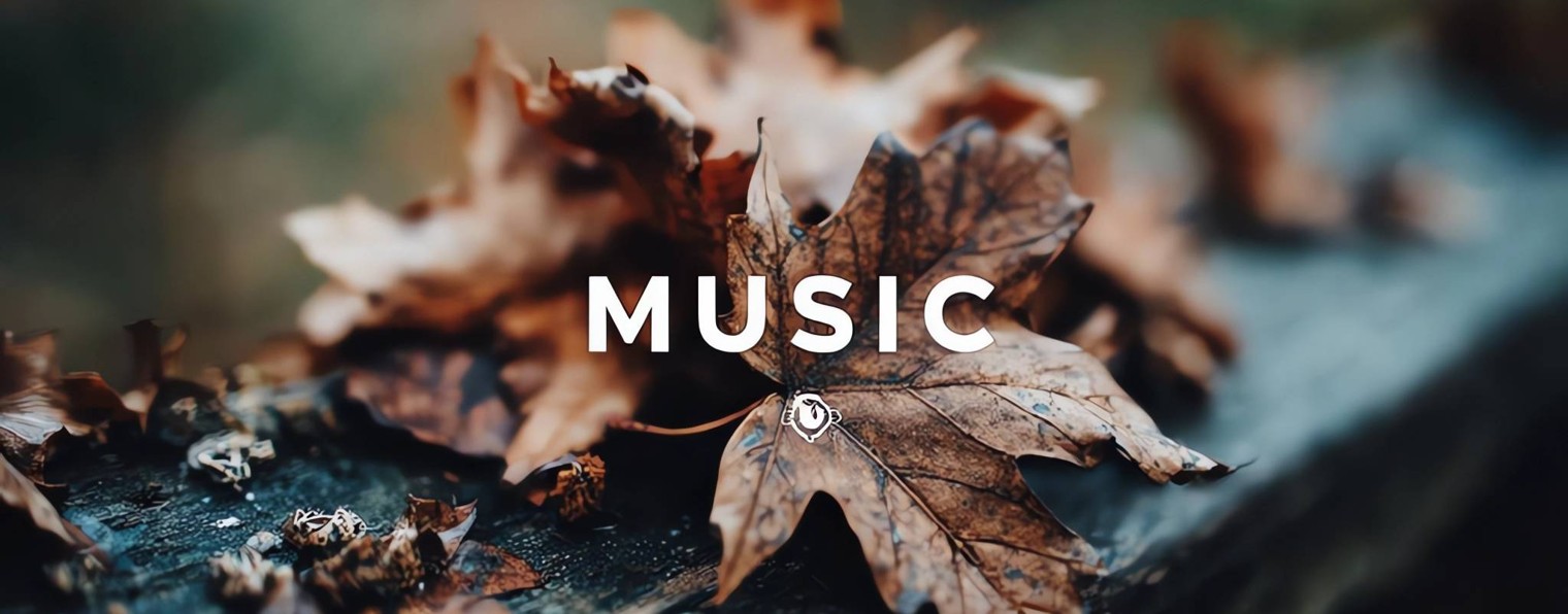 Музыка для учебы | Сосредоточься!