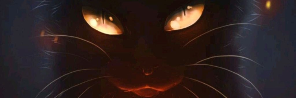 Игровой Кот 🐱