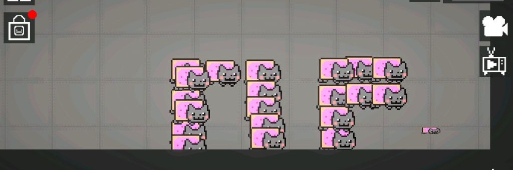 Черныш  Котик