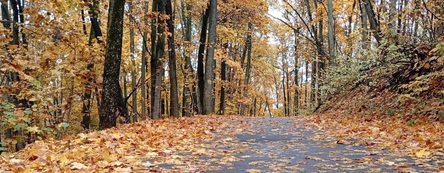 "Кактусята"-вязаные игрушки
