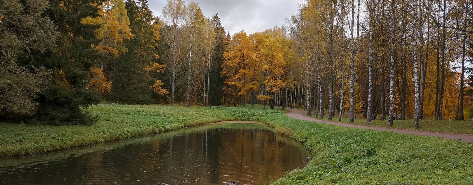 Елена Карпычева