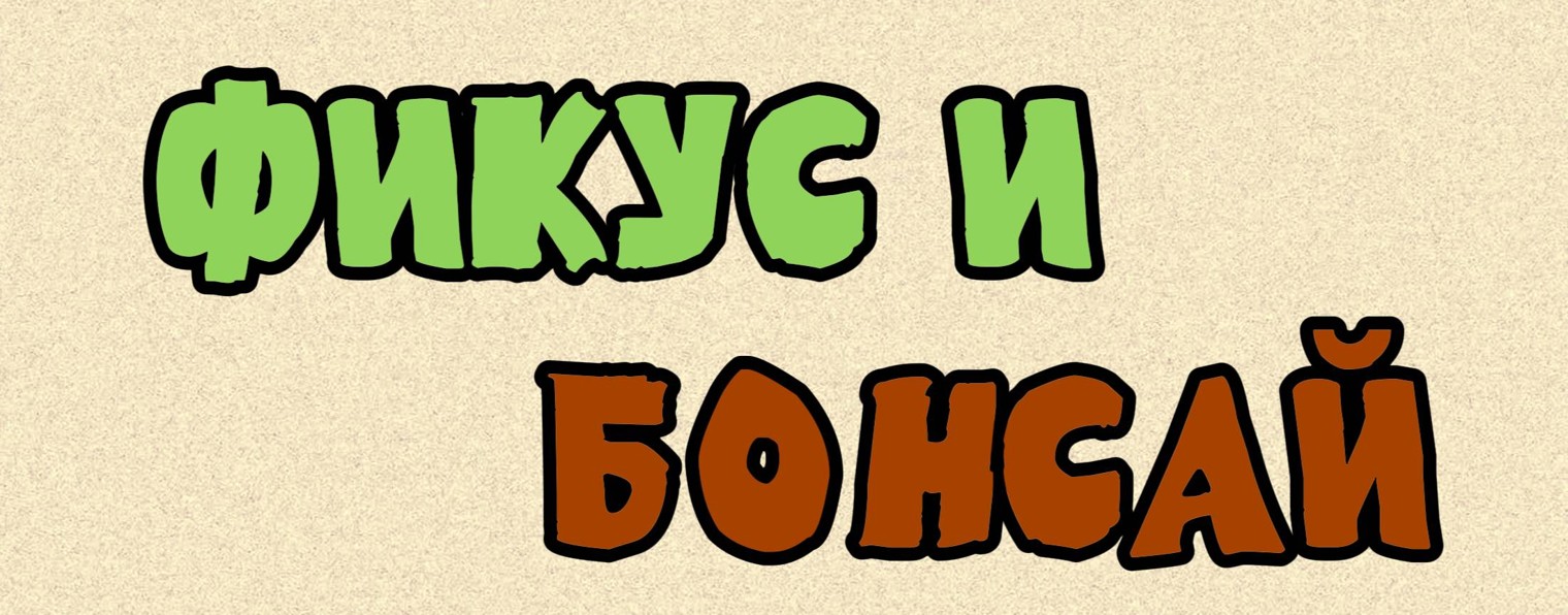 Фикус и Бонсай