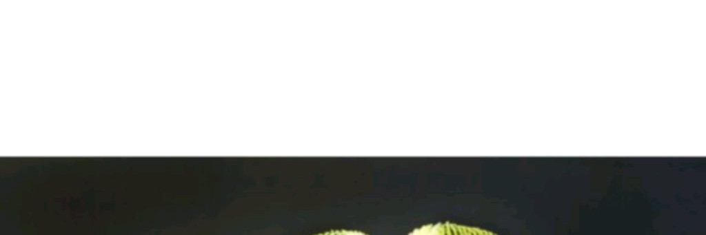 Разные Приколы 🫠🫠🫠😁😁