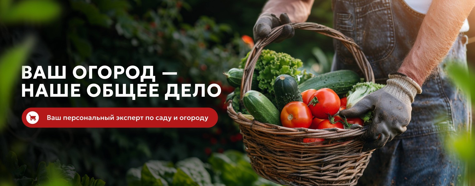 Семена | Время спелых