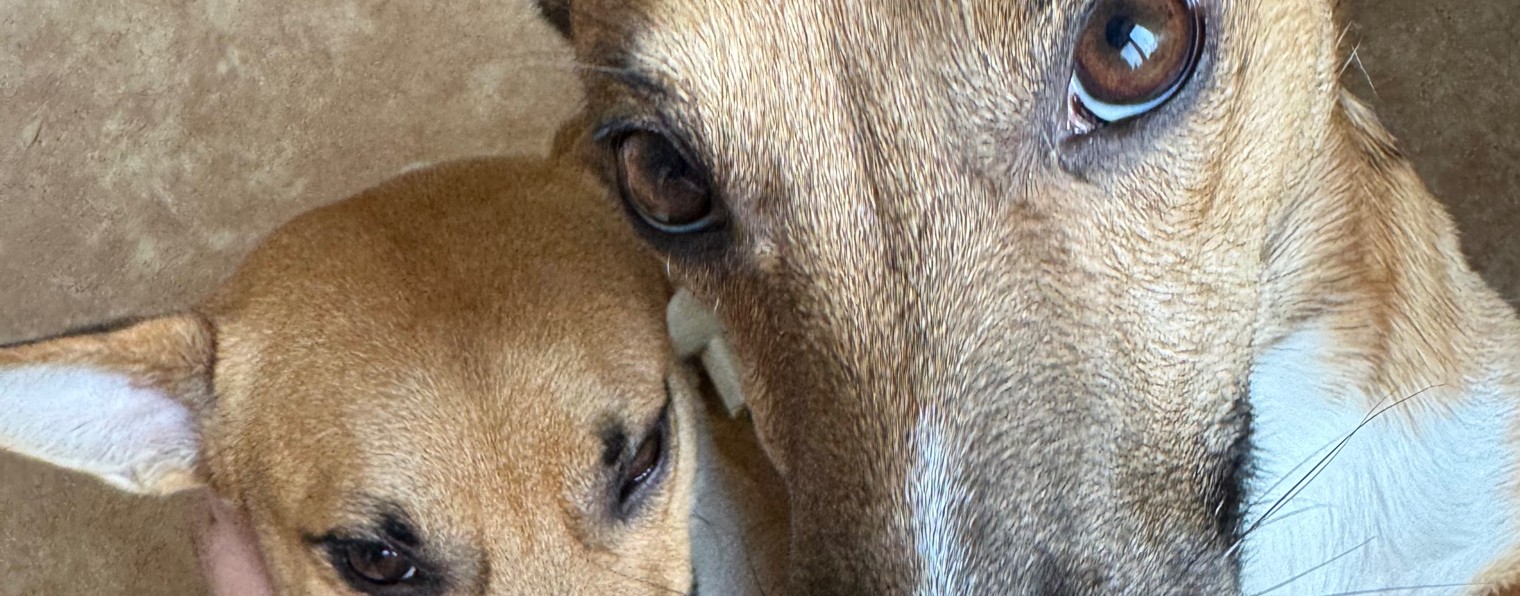 Суворов Андрей