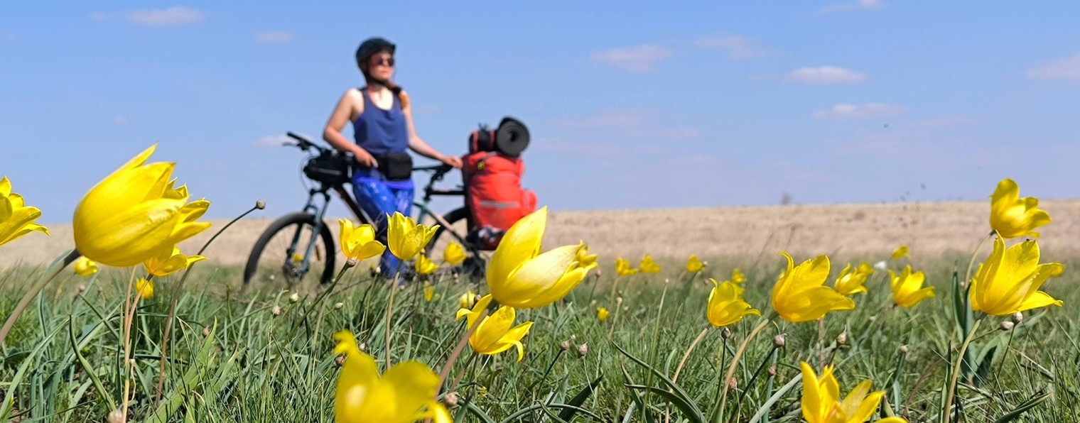 Веломаршрут.ру