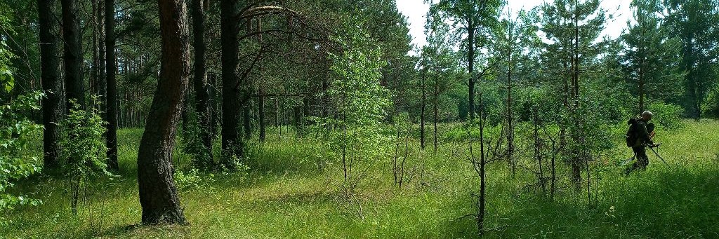 Скобарь Кладоискатель