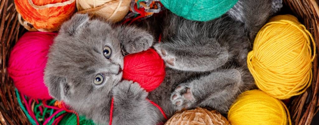 Вяжем вместе. Ольга К.