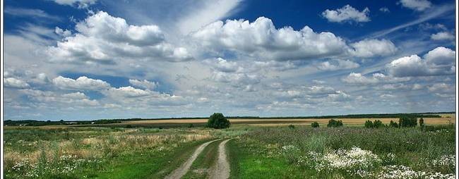 Алексей Сорокин