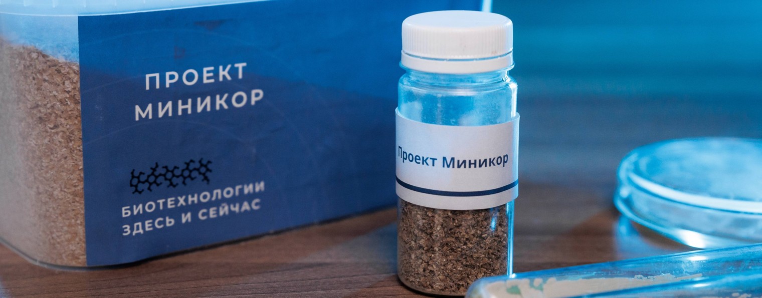 ООО "Миникор"