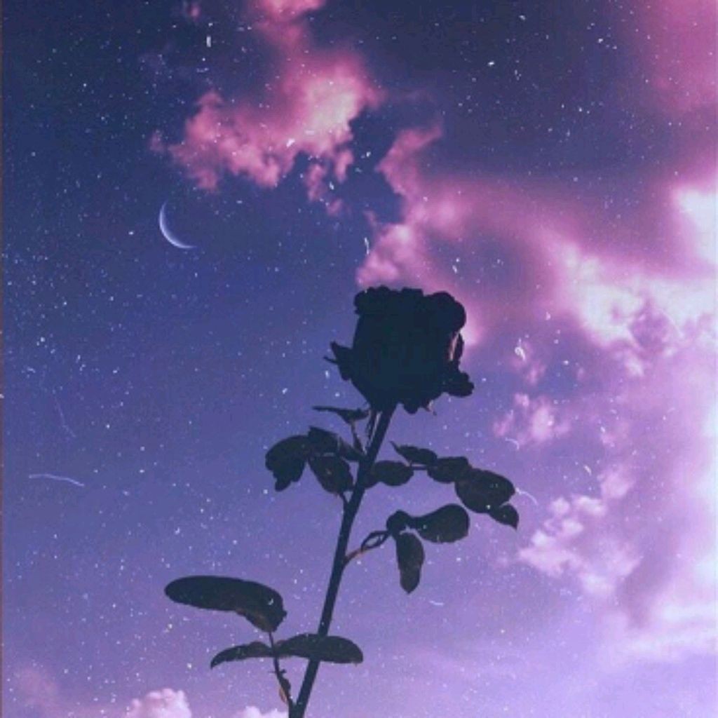 Т/и Т/Ф😈🖤