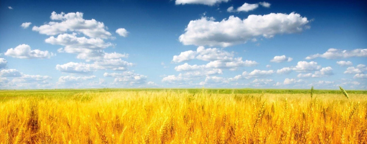 ДРУГАЯ ЖИЗНЬ В ДЕРЕВНЕ.