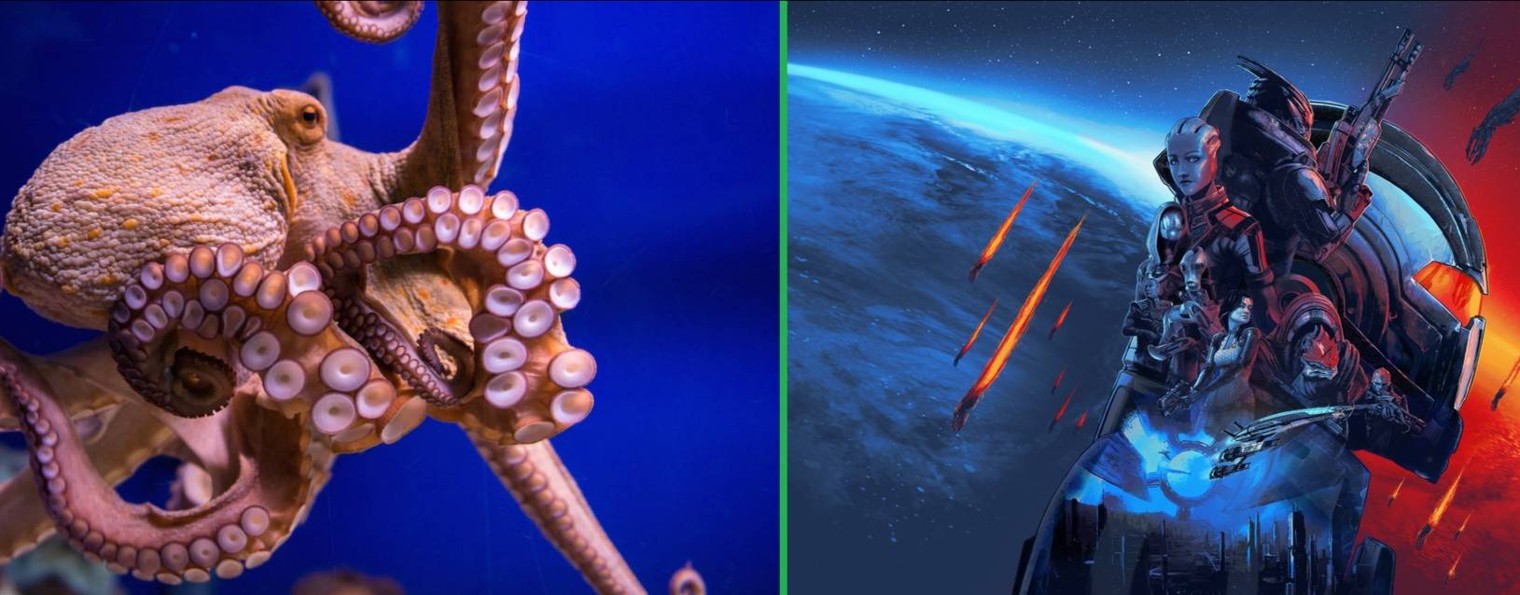 Осьминог Пауль