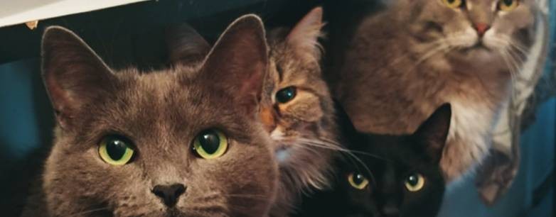 Жанна Дегтярск