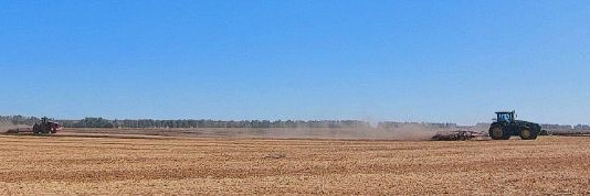 Рома Хвойный 🌲Активное Существо