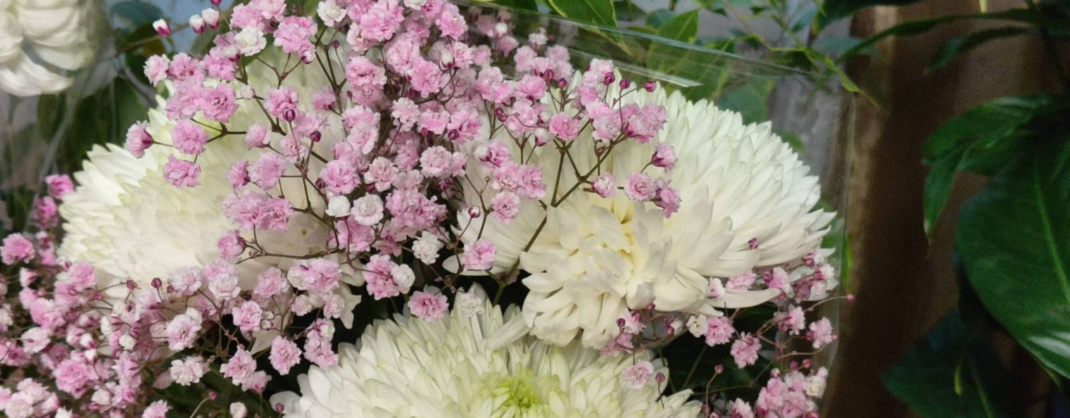 В гостях у Ольги дома