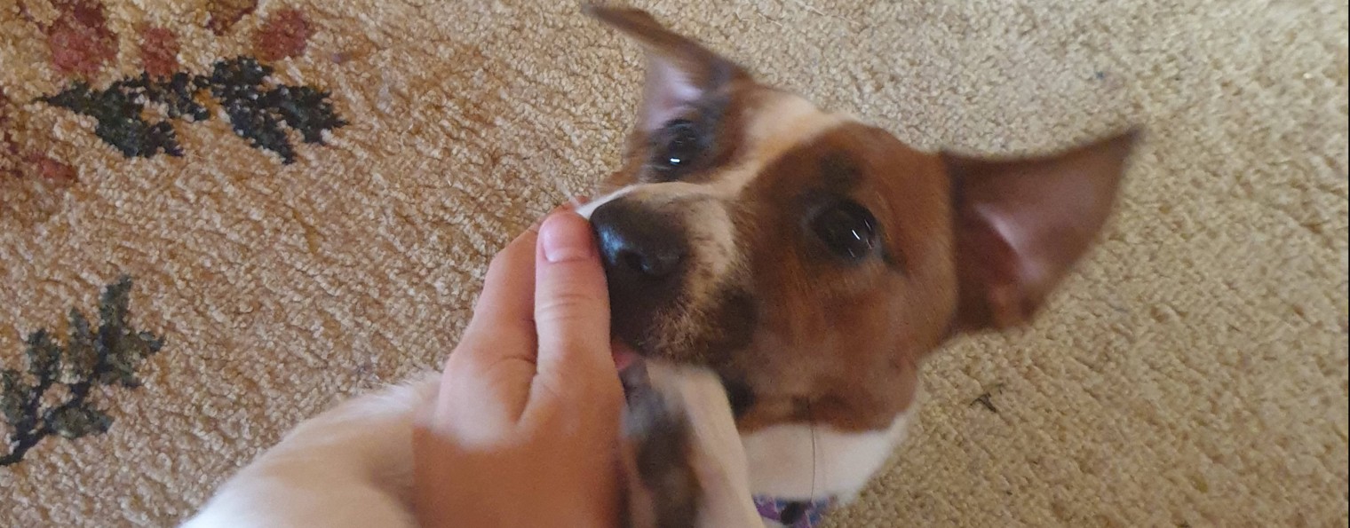 Арина Милка💗