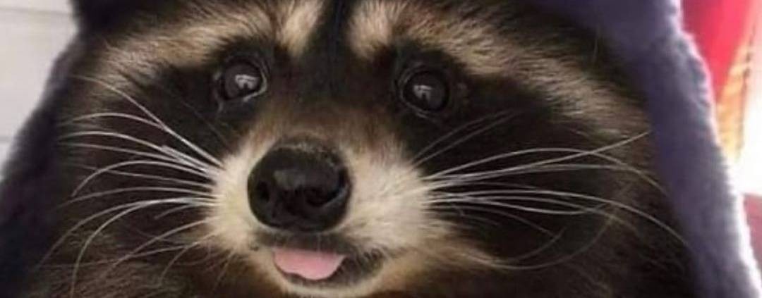 Данил Амиргулов228