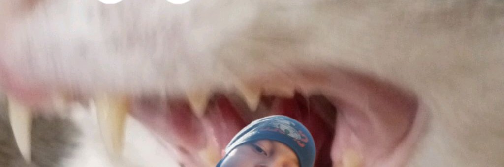 Макарон Играет