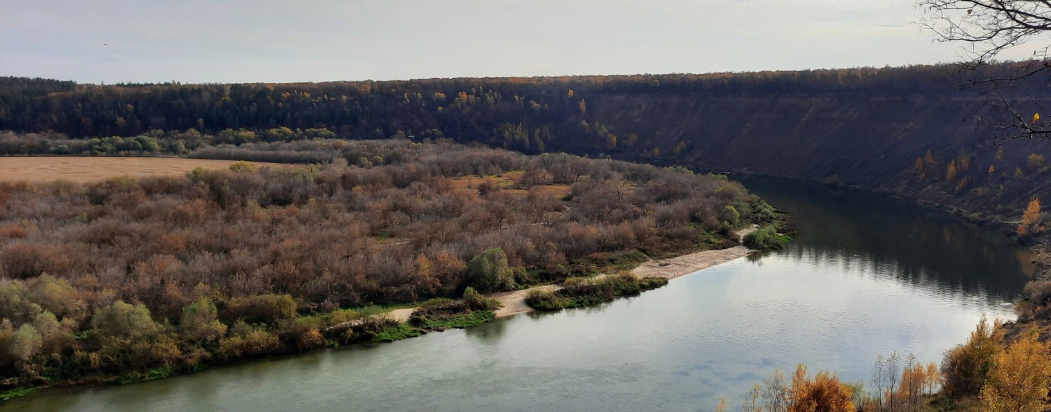 Денис Зотов • LIVE