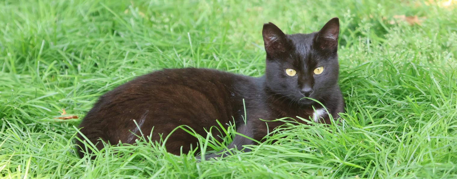 Живая Земля!