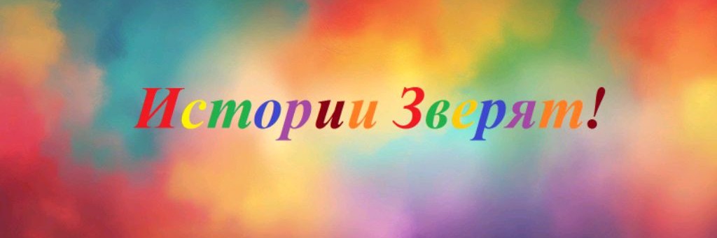 Истории Зверят!