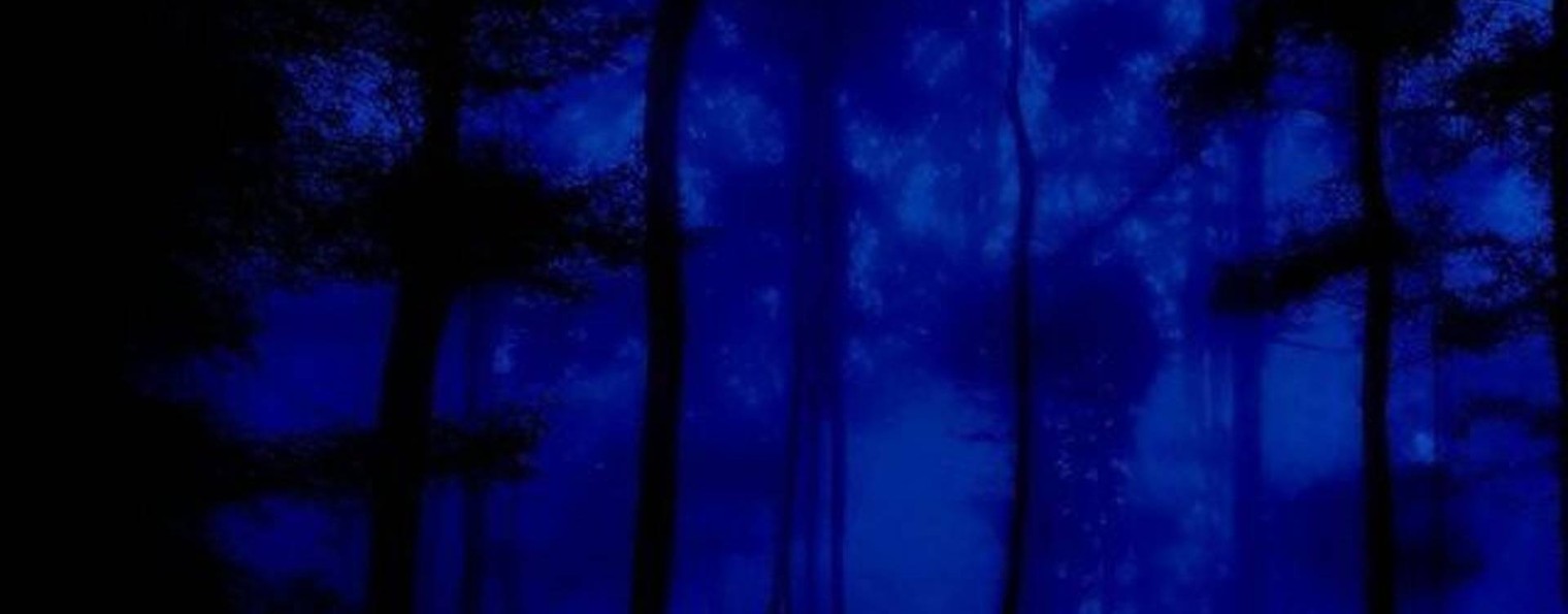 Евгений Смертин