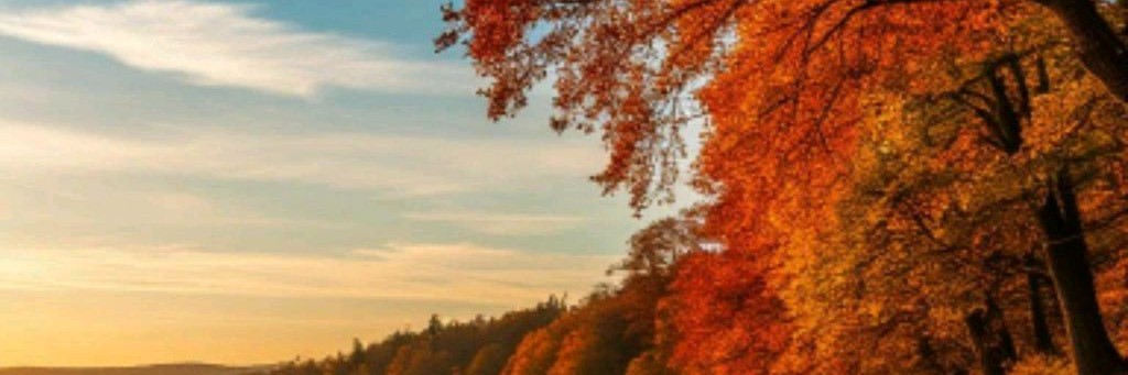 Настоящий Композитор