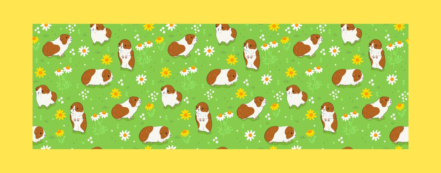 Аня Шестакова