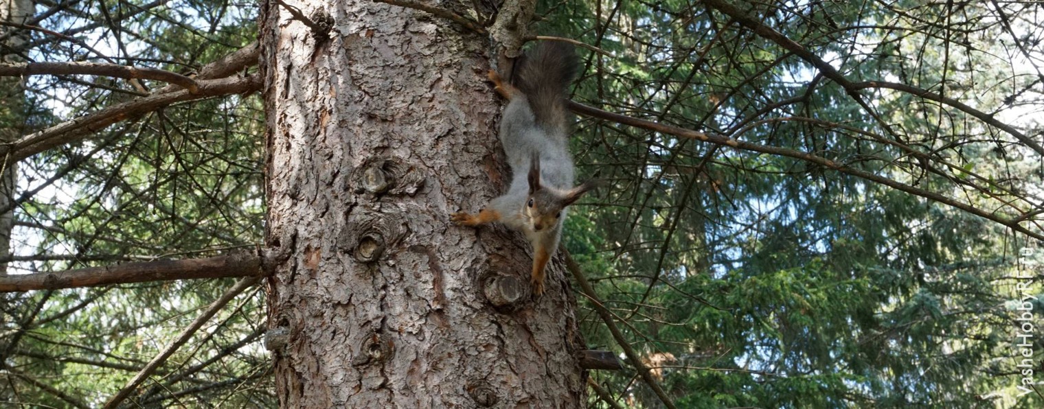 Территория увлечений ВашеХоббиРФ