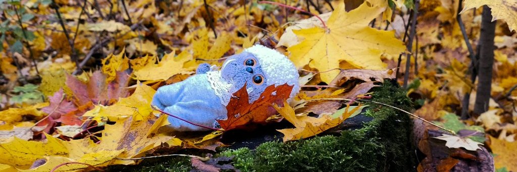 🧡Котики_басикиТВ🧡