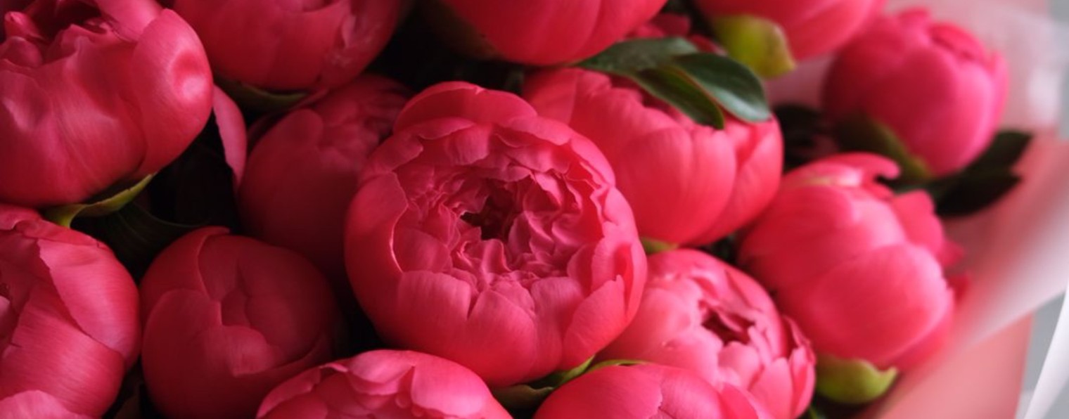 Фабрика | цветочный цех