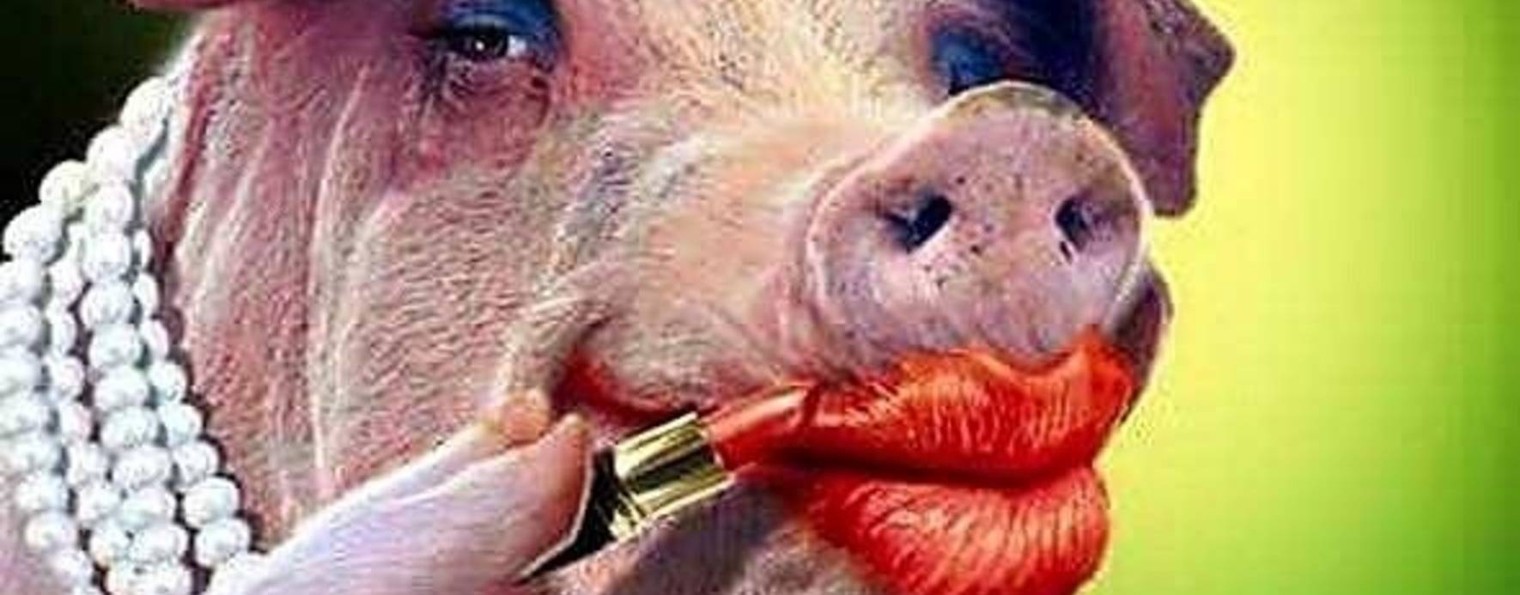 КОКТЕЙЛЬ  НЕ ИНТЕРЕСНЫХ  МОМЕНТОВ  ИНТЕРНЕТА