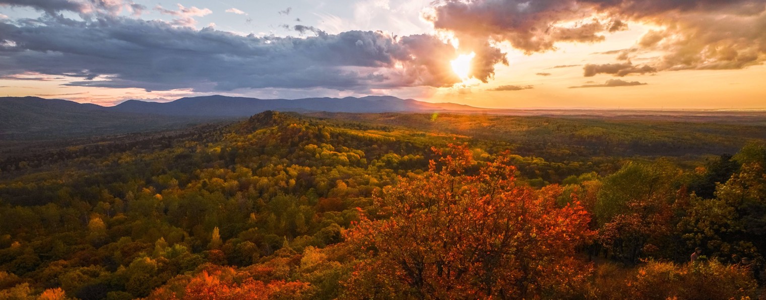 Министерство туризма Хабаровского края