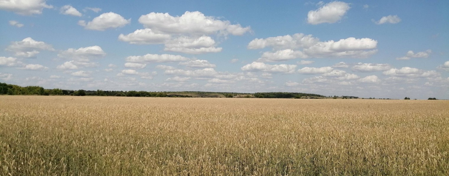 Тамбовское краеведение