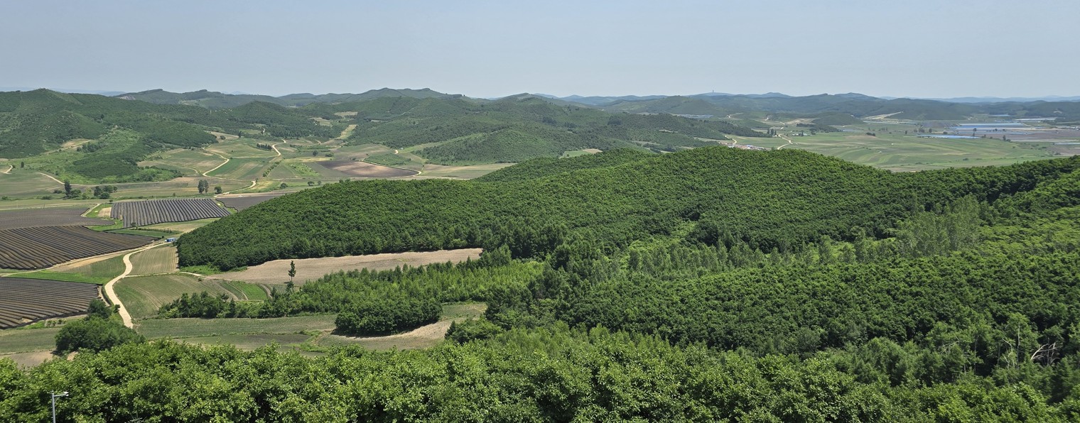 Женечка Дачница