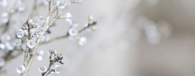 Студия-Макраме "Белая Сова"