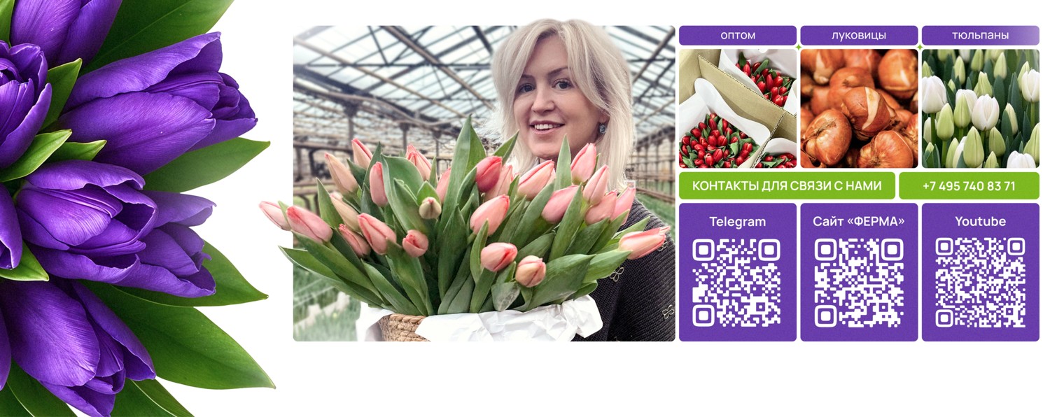 Тепличный комплекс Ферма