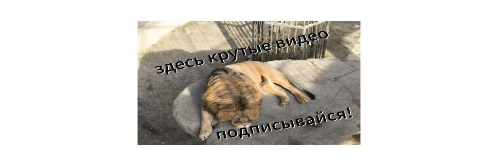 Просто Никита