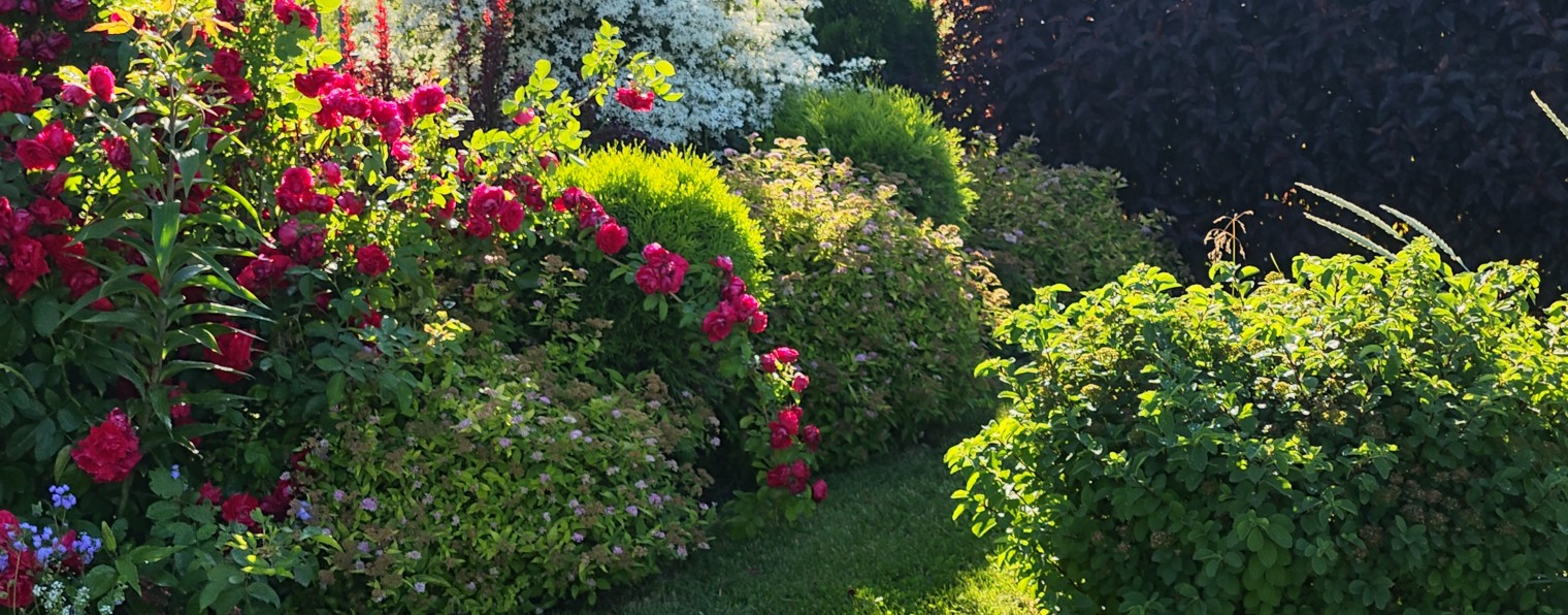 Малиновская_SAD