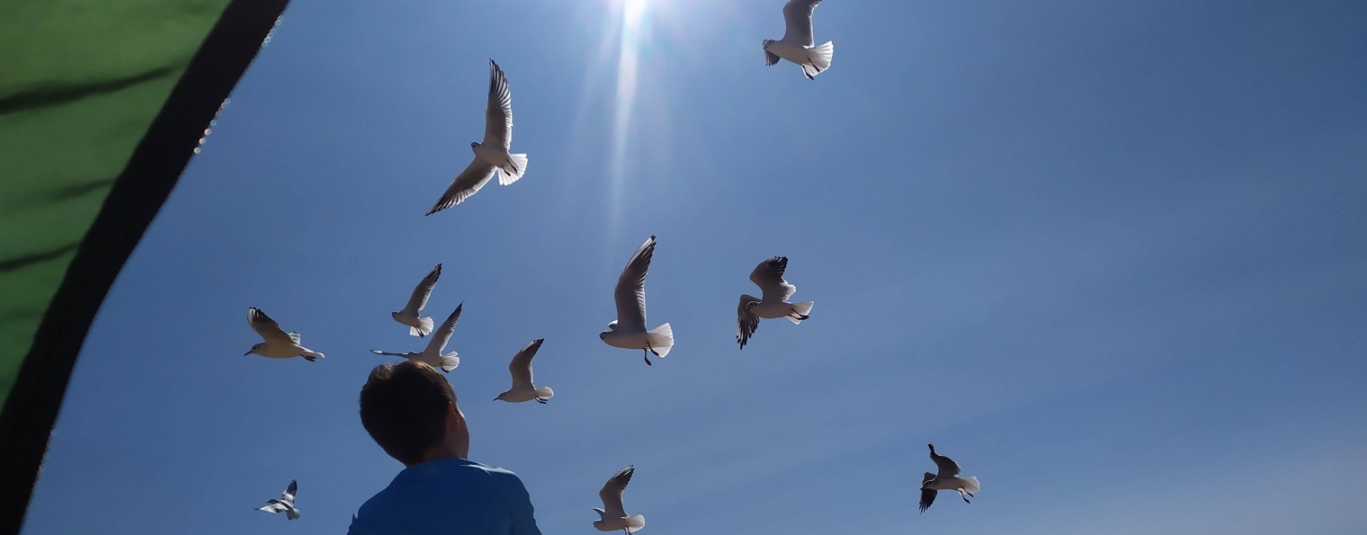 Творческая студия "Некогда скучать"