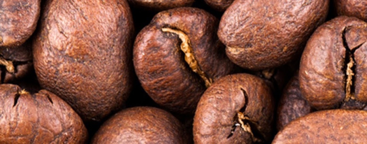 Torrefacto | Говорим о кофе, чае и какао