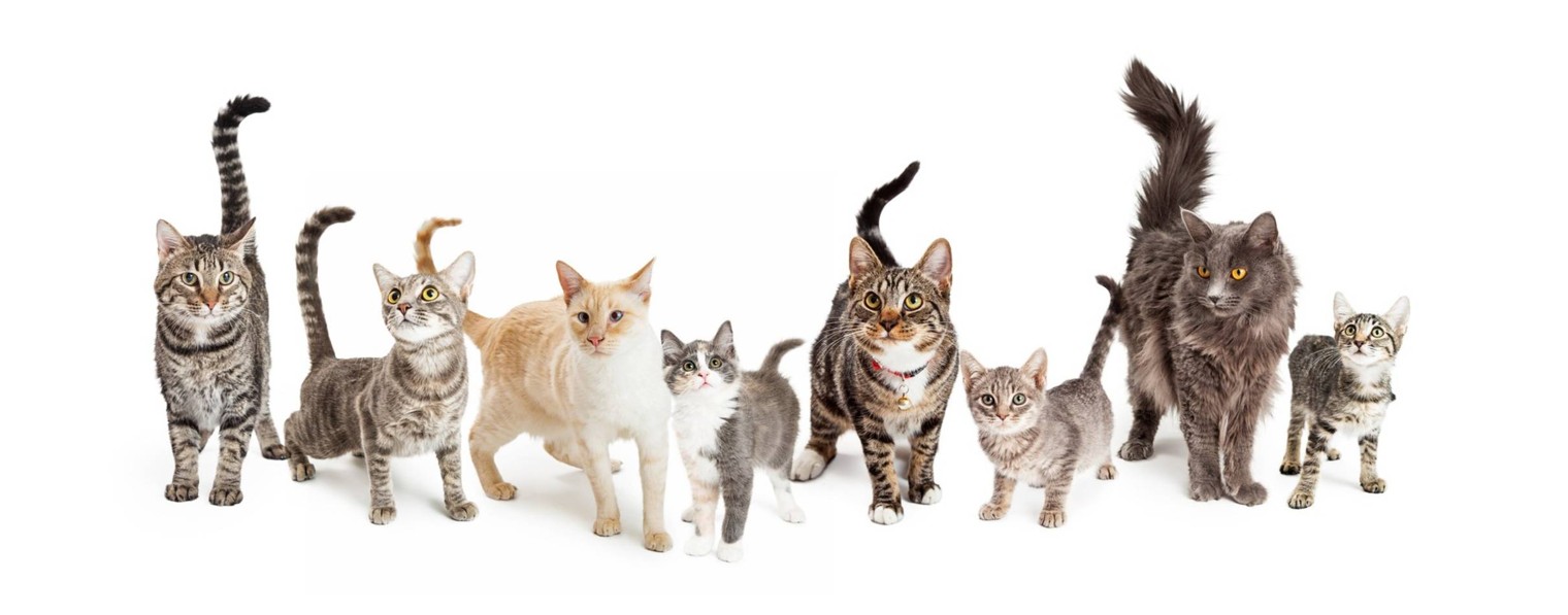 360 градусов