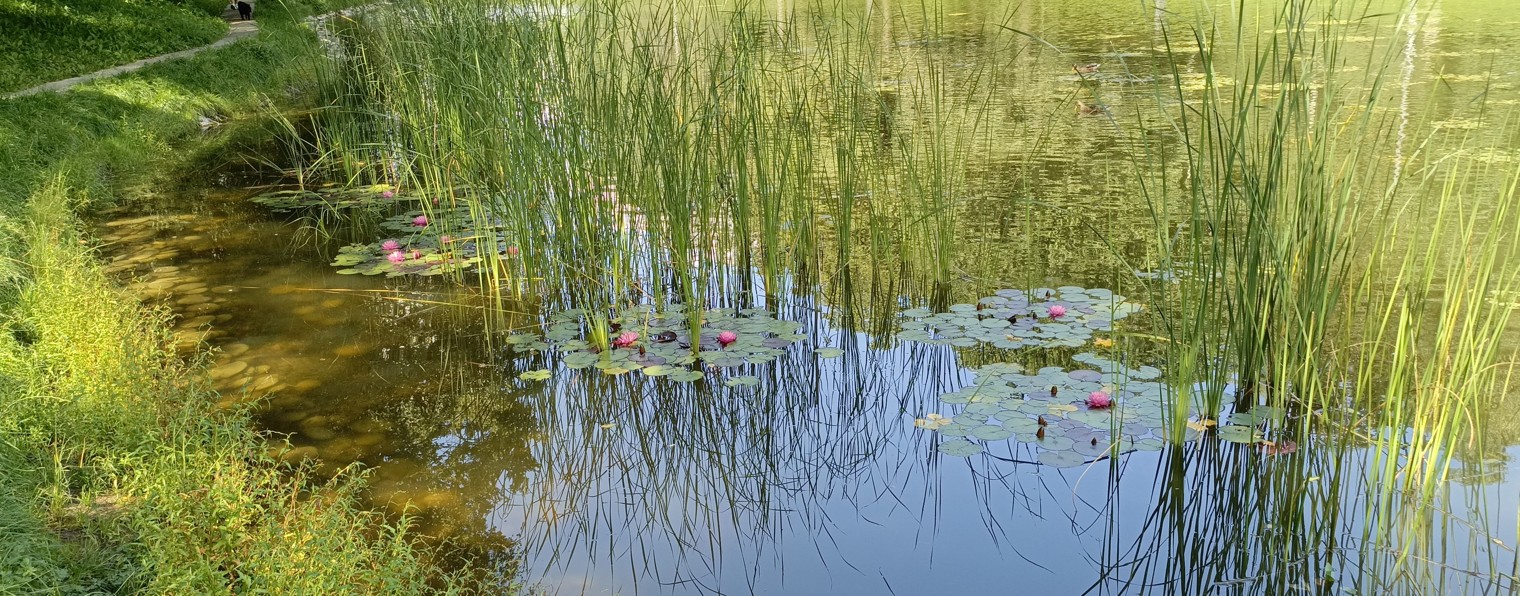 Александр Гультяев