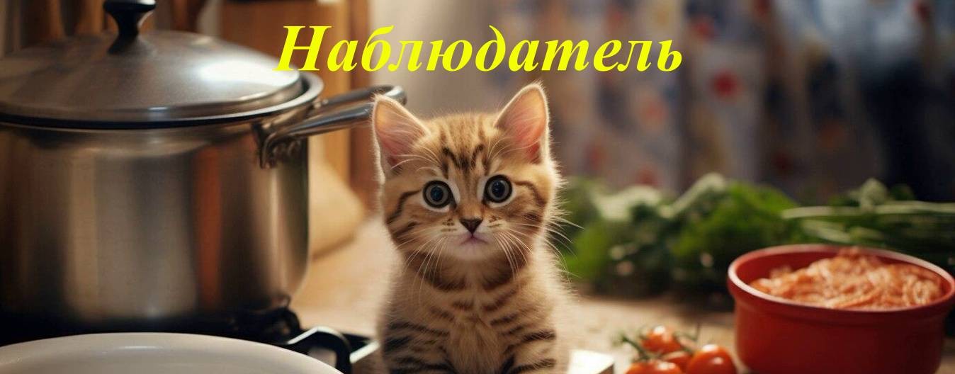 Наблюдатель.