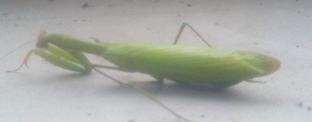 Юрий Данилов  .Песни под  гитару Т .+79969022807