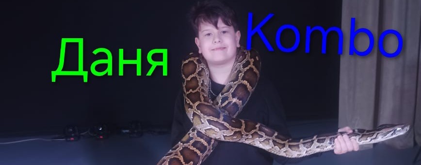 Даня kombo