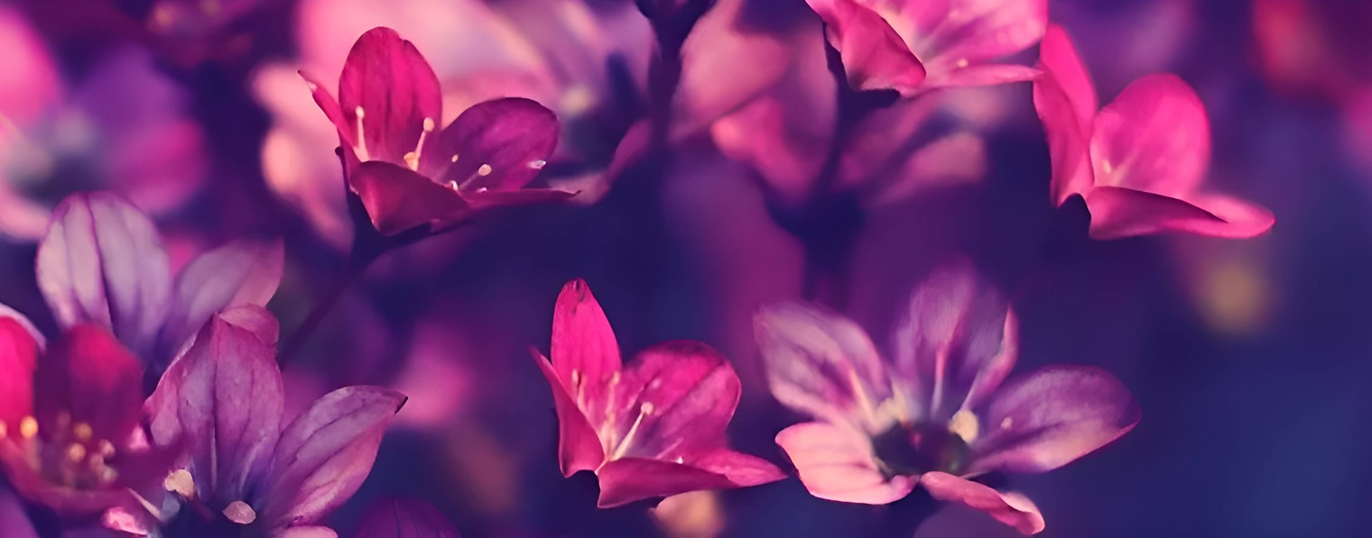 Anastasia Makarova PMU