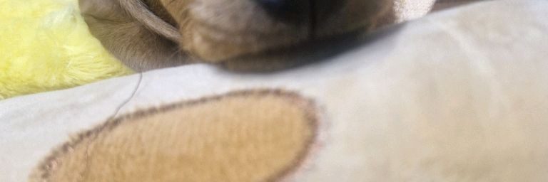 ФеТакса "Веста"