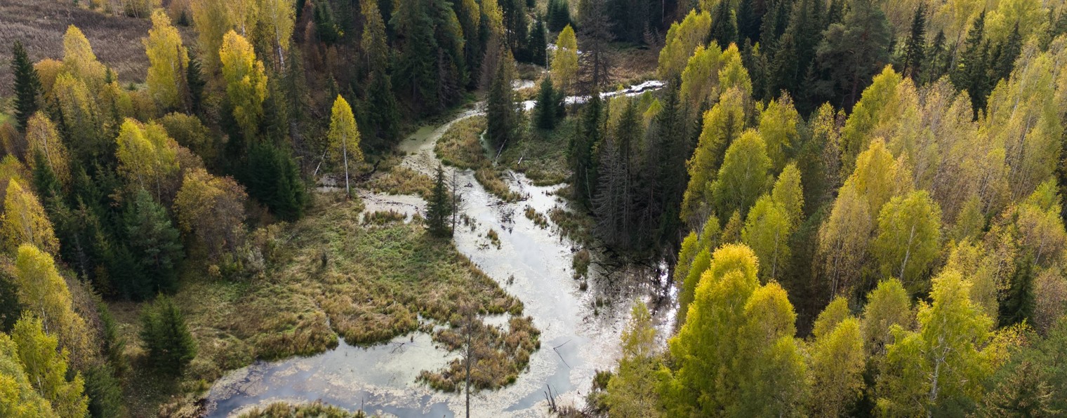 Кирилл Мультитул